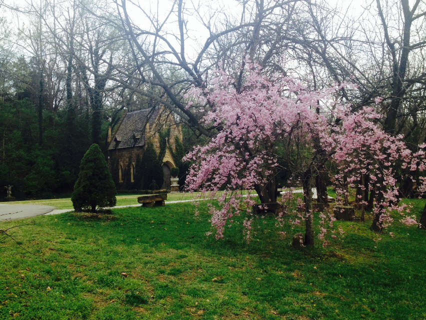 Chapel Gallery – St. Catherine's at Bell Gable
